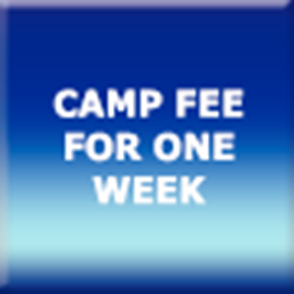 Colfax Junior Falcons