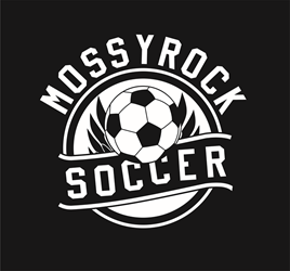 Lewis County Youth Soccer Association
