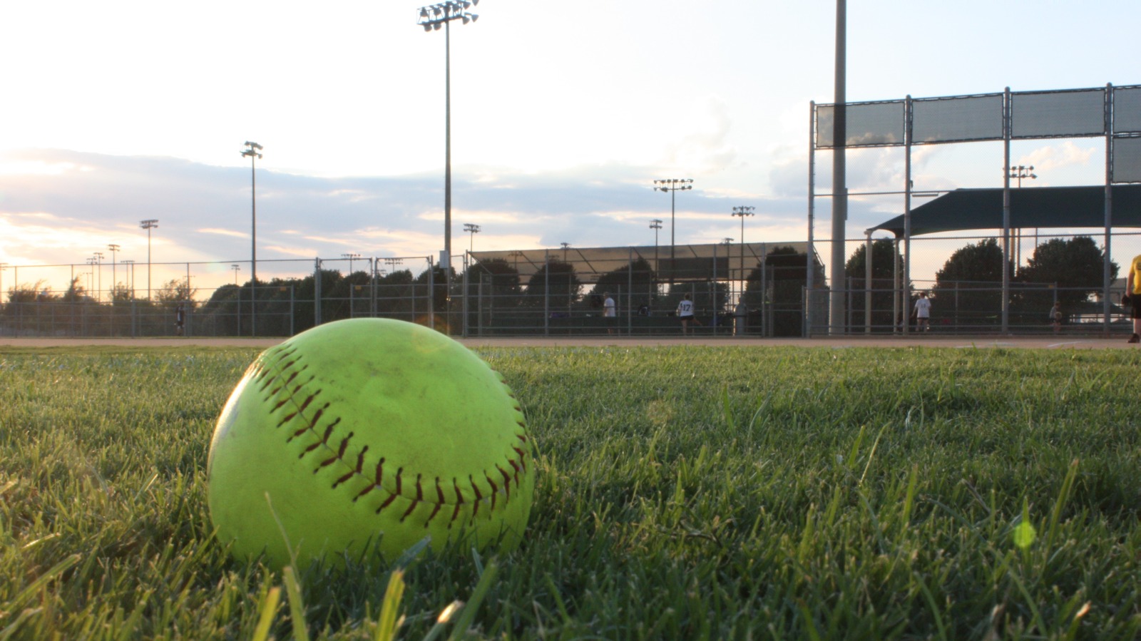 Plano Parks & Recreation Adult Sports