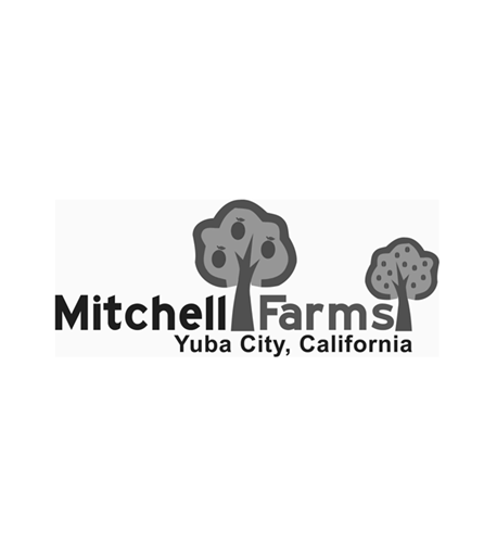 East Nicolaus Jr Spartans Football & Cheer