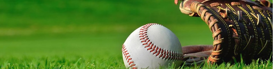 Manoa Youth Baseball League