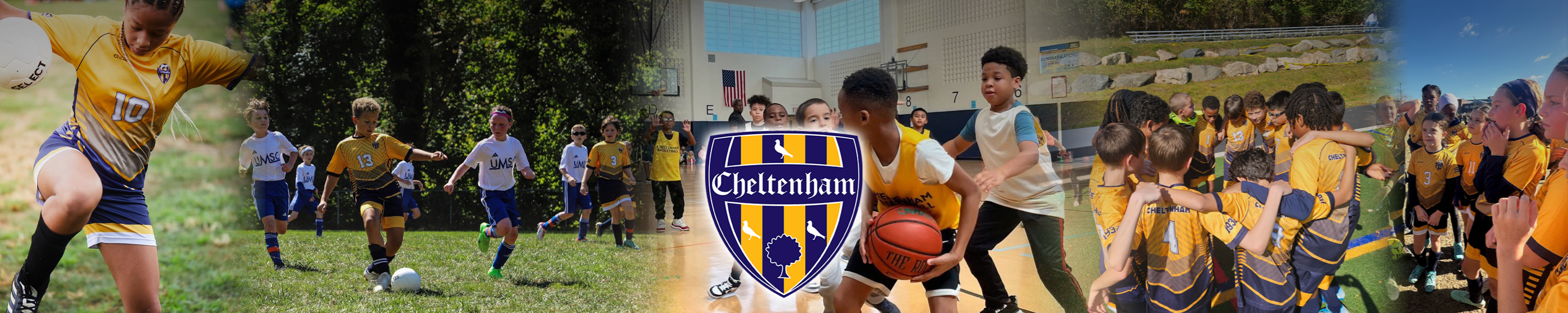 Cheltenham Sports