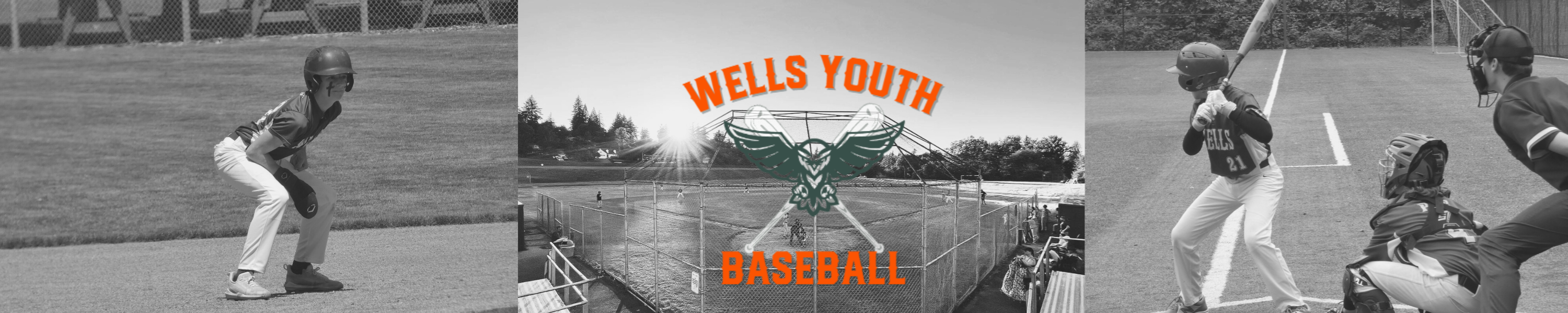 Wells Youth Baseball