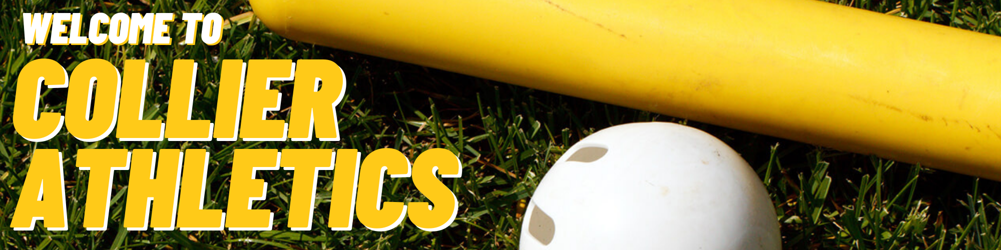 Collier County Parks & Recreation Athletics