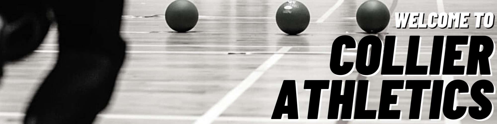 Collier County Parks & Recreation Athletics