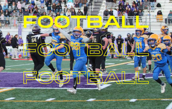 Ferndale Youth Sports