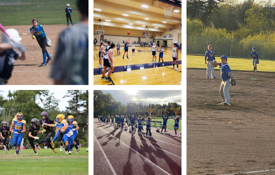 Ferndale Youth Sports