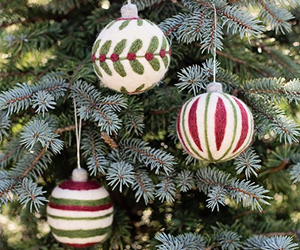 Poynette Parks & Recreation