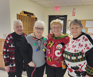 Wellsville Joint Recreation Commission