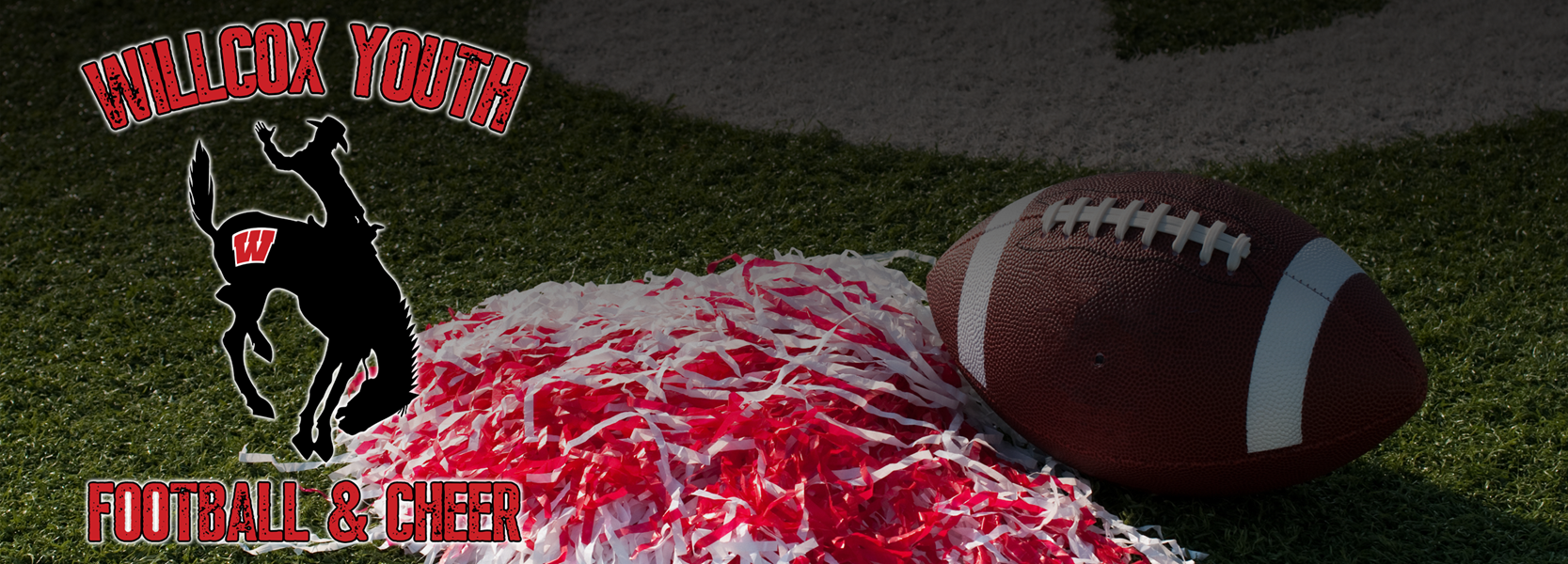 Willcox Youth Football & Cheer