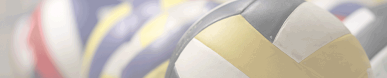 DIG VBC & Dallas Sportsplex